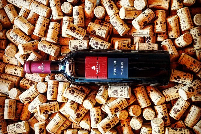 Tour in the Winery and Tasting - The Sum Up