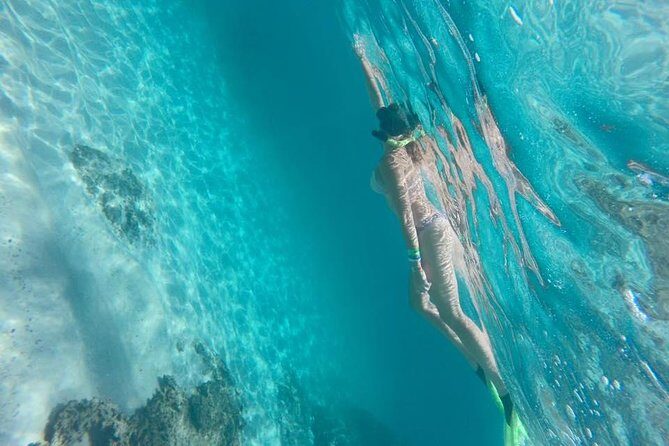 Tour islands Marietas Snorkeling and Nopalera Beach - A Closer Look at the Itinerary and Experience