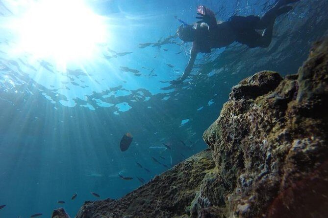 Tour islands Marietas Snorkeling and Nopalera Beach - Authentic Encounters and Guest Perspectives