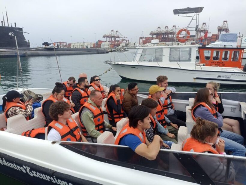 Tour islas Palomino - An In-Depth Look at the Palomino Islands Tour