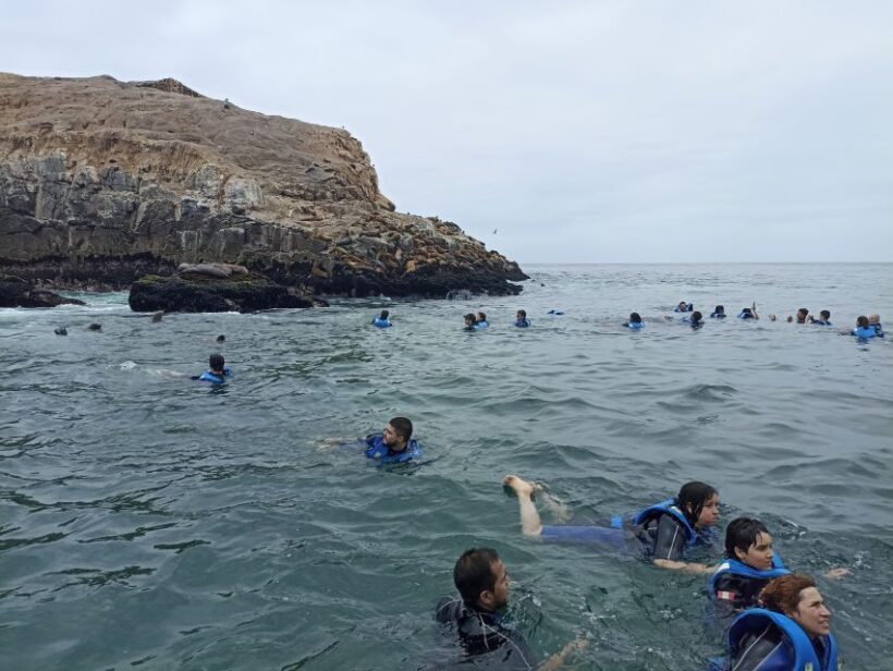 Tour islas Palomino - Final Thoughts