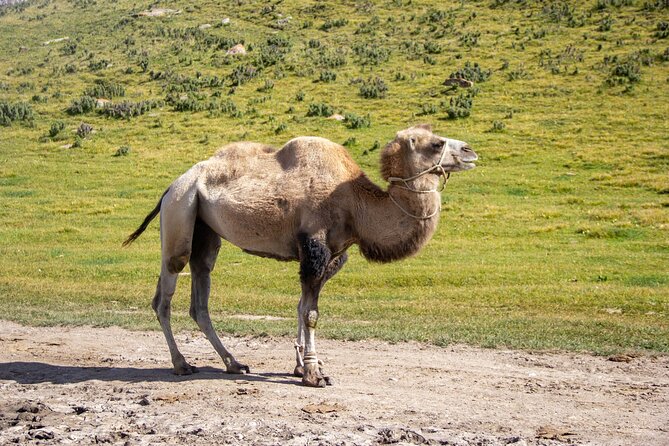 Tour Kegeti gorge , Burana Tower, canyons Kok Moynok, Issyk Kul - The Cultural Treasure of Burana Tower