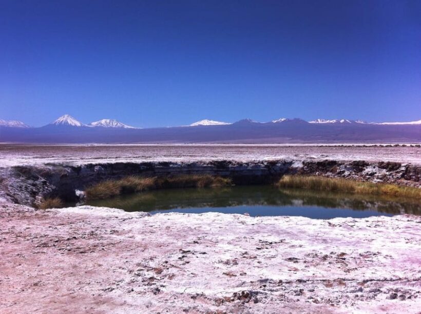 Tour Laguna Cejar - Pricing and Value