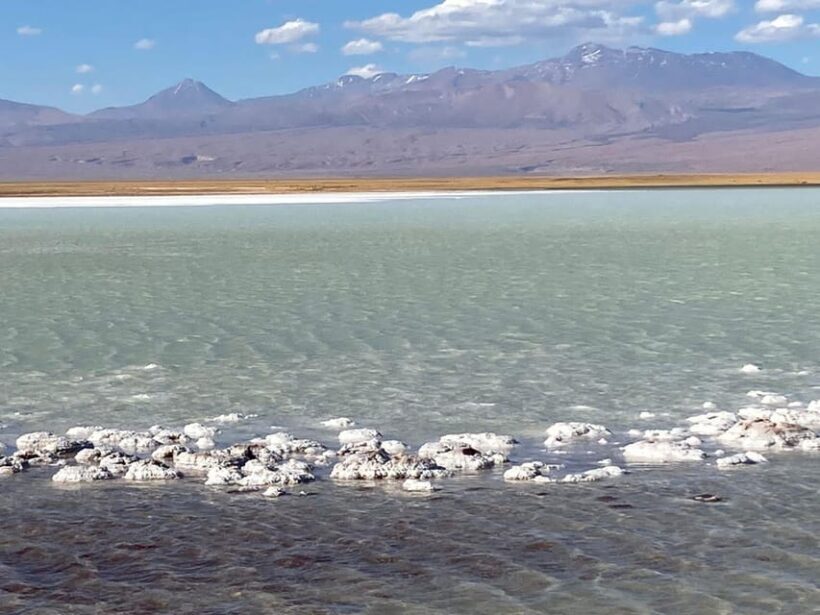 Tour Laguna Cejar - Who Should Consider This Tour?