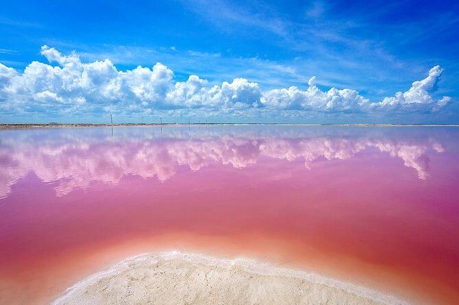 Tour Las Coloradas - The Experience of the Guides and Group Dynamics
