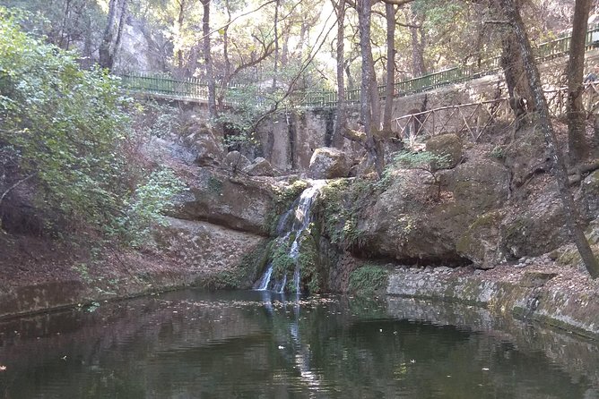 Tour & learn - Why This Tour Works for Your Family