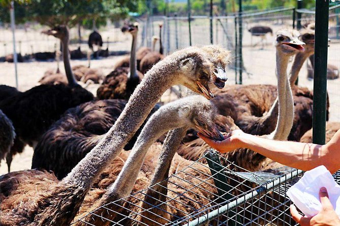 Tour & learn - The Sum Up