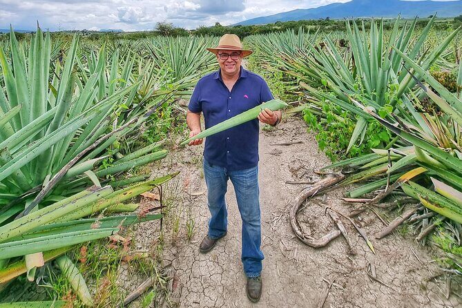 Tour Monte Albán, Hierve el agua, Teotitlán Del Valle and Mezcal - The Sum Up