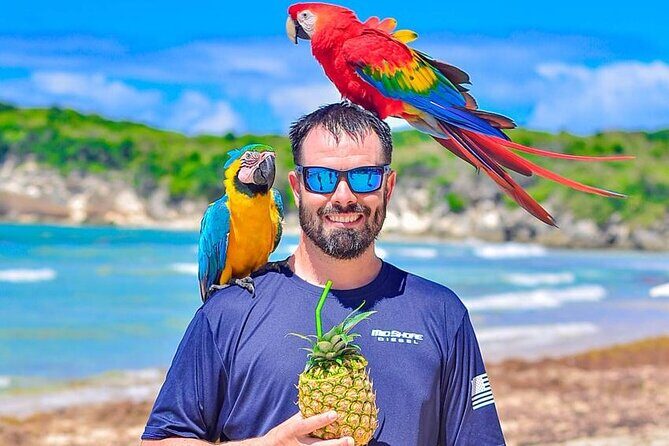 Tour Moto ATV en Punta Cana, Playa, Cueva Taína y Casa Dominicana - FAQs