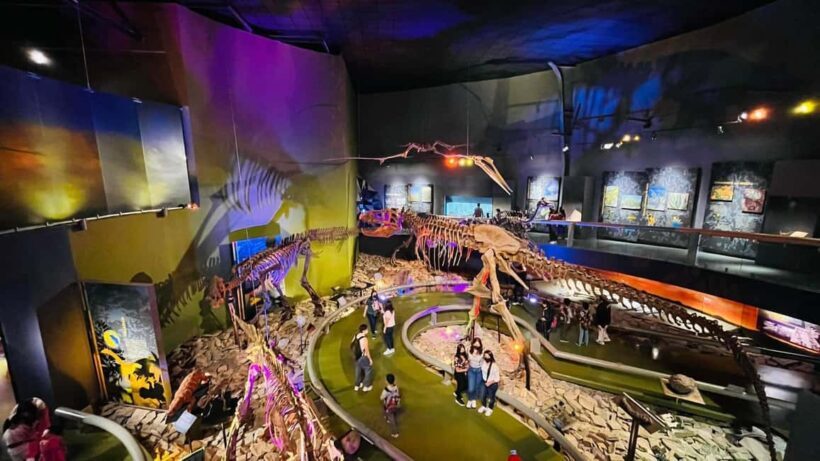 TOUR "Museo del Desierto" + Traslados + Tickets incluidos - Exploring the Desert Museum in Saltillo