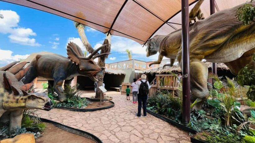 TOUR "Museo del Desierto" + Traslados + Tickets incluidos - The Museum of Birds