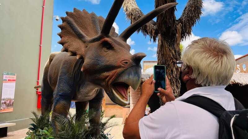 TOUR "Museo del Desierto" + Traslados + Tickets incluidos - Transportation & Logistics
