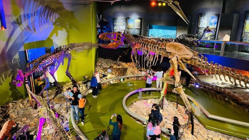 TOUR "Museo del Desierto" + Traslados + Tickets incluidos - Price & Value