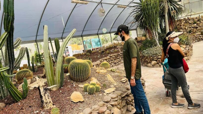 TOUR "Museo del Desierto" + Traslados + Tickets incluidos - Who is This Tour Best For?
