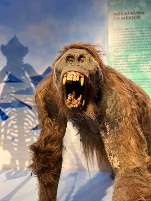 TOUR "Museo del Desierto" + Traslados + Tickets incluidos - FAQ