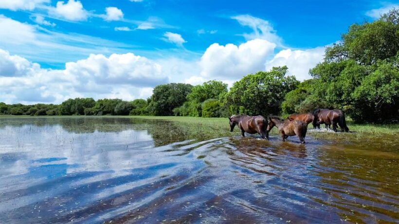 Tour Nature & Wildlife from Cagliari - Practicalities and What You’ll Experience