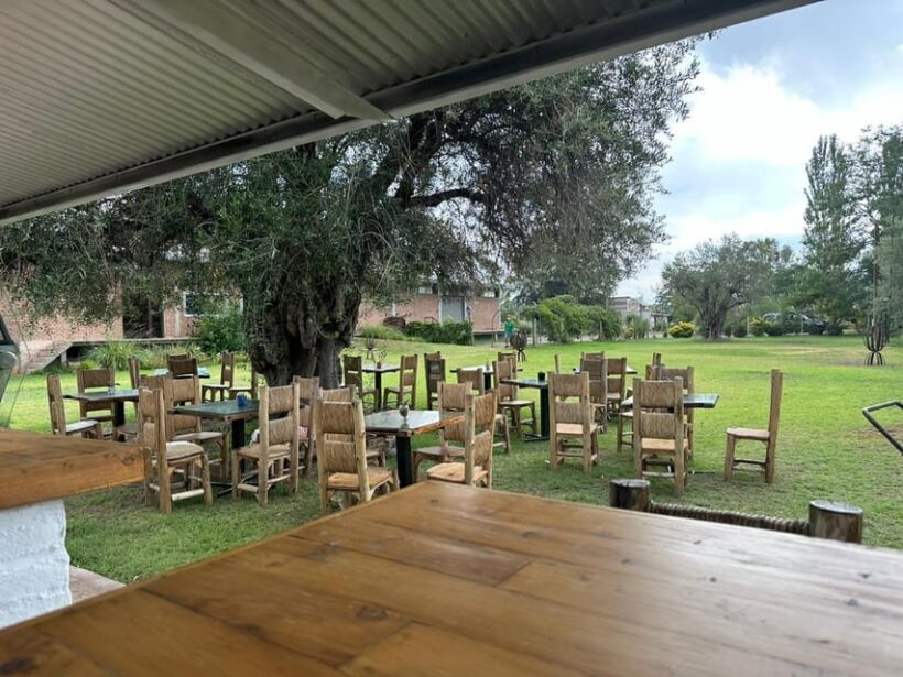 Tour of 3 wineries in Maipú with lunch + olive groves - The Sum Up