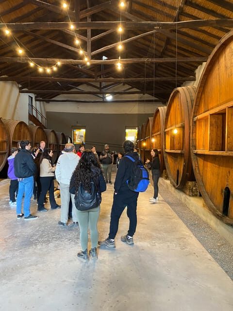 Tour of 3 wineries in Maipú with lunch + olive groves - FAQ