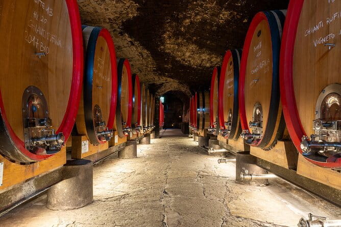 Tour of 900year old secret cellars + tasting of 3 wines and bread with EVO oil - The Value of the Experience