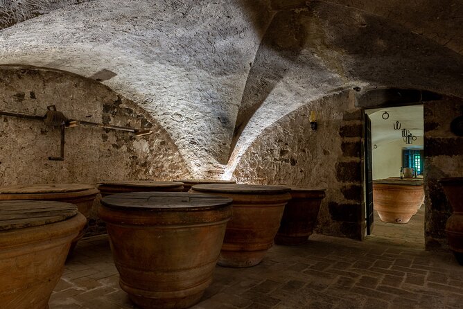 Tour of 900YEAR Old Secret Cellars + Tasting of 3 Wines and Bread With EVO Oil - Pricing, Cancellation Policy, and Covid-19 Protocols