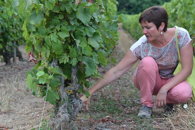Tour of a Vineyard, Winery & Cellar with Wine Tasting in Vouvray, Loire Valley - FAQ