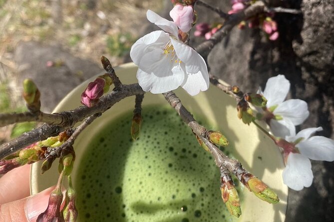 Tour of Antique Shops, Cultural Stores Known Only to the Locals - Accessibility and Participation