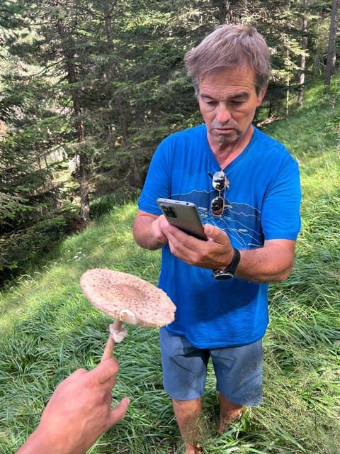 Tour of Aran 4×4 - Fauna, flora and alpine nature - An Authentic Mountain Journey in the Pyrenees