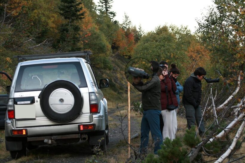 Tour of Aran 4×4 - Fauna, flora and alpine nature - What to Expect at Each Stop
