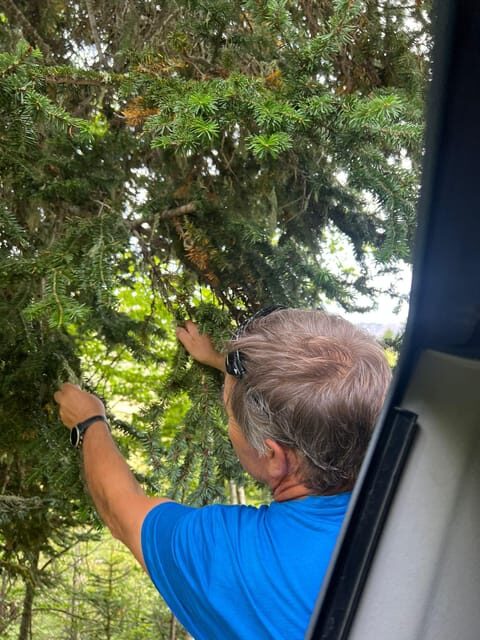 Tour of Aran 4×4 - Fauna, flora and alpine nature - Authenticity and Expert Guidance
