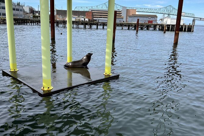 Tour of Astoria - Recommendations for Travelers