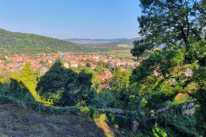 Tour of Bran CASTLE + Peles Castle + Brasov City from Bucharest - Private TOUR - FAQ