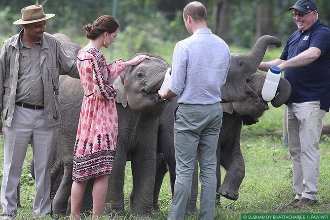 Tour of Elephant Conservation and Bear Rescue Center From Agra - Authentic Experiences and What Past Travelers Say