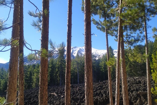 Tour of Etna on foot, food and wine tasting in the Etna winery - Geology and Scenery: Why It Matters