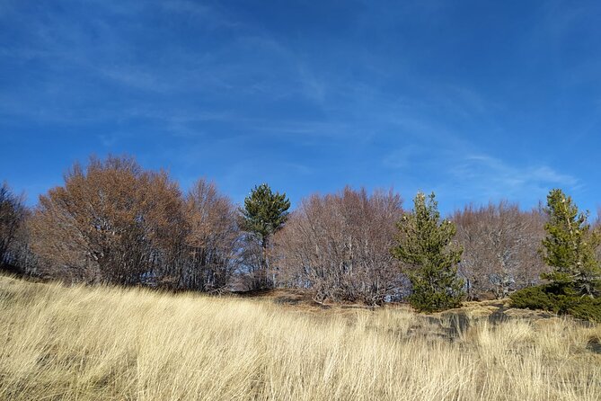 Tour of Etna on foot, food and wine tasting in the Etna winery - FAQ