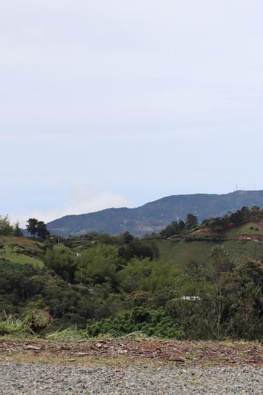 Tour of Guatape by Tuk Tuk 20min - Lunch and drink. - Practical Details and What to Expect