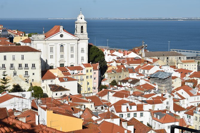 Tour of Lisbon Half Day - Reviews and Feedback