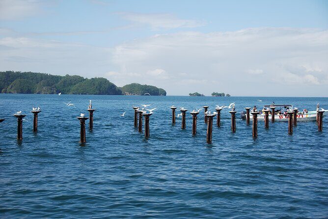 Tour of Los Haitises Montaña Redonda and Yanigua Waterfall in one day - Key Points