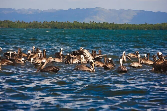 Tour of Los Haitises Montaña Redonda and Yanigua Waterfall in one day - Who Should Consider This Tour?