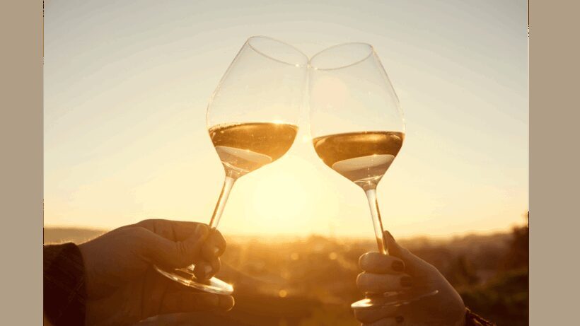 Tour of Machiavelli's House & Dinner with Wine Tasting - The Setting at “Albergaccio”