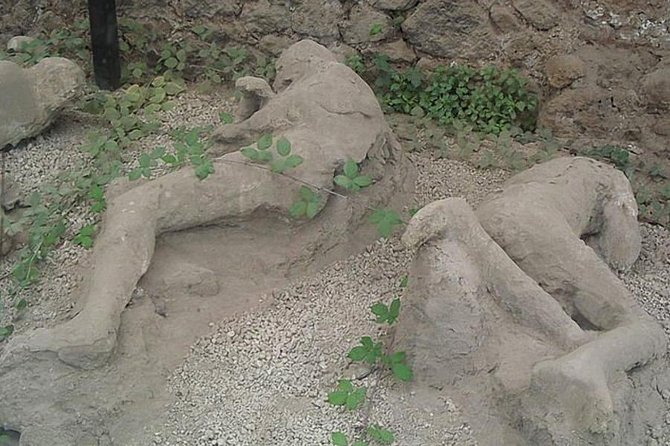 Tour of Mt. Vesuvius+Sorrento+Pompeii (Full Day) - The Sum Up