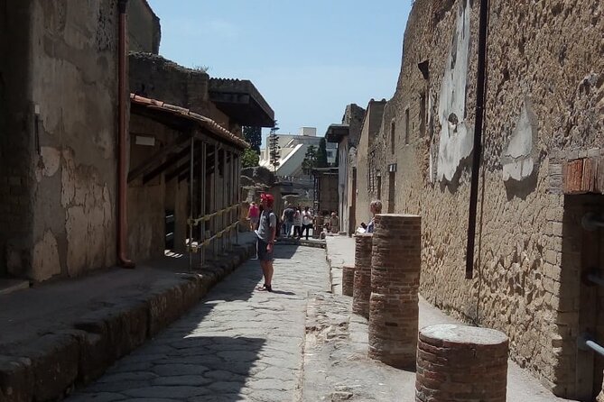 Tour of Naples, Herculaneum and Pompeii - Summary: Who Should Consider This Tour?