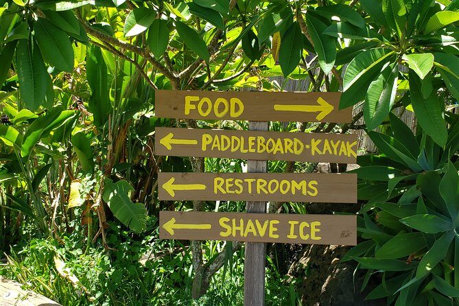 Tour of North Shore & Waimea Waterfall - Scenic Icon: Mokolii Island (Chinaman’s Hat)