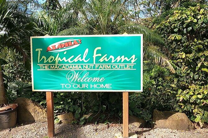 Tour of North Shore & Waimea Waterfall - Lunch at Fumi’s Kahuku Shrimp