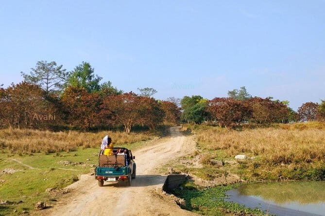 Tour of Pobitora Wildlife Sanctuary from Guwahati with Safari, Lunch and Guide - Exploring Pobitora Wildlife Sanctuary: A Practical Guide to the Guwahati-Day Trip