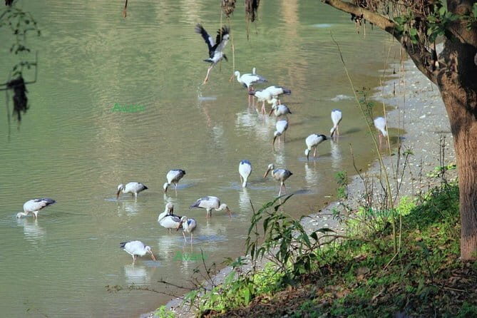 Tour of Pobitora Wildlife Sanctuary from Guwahati with Safari, Lunch and Guide - Who Is This Tour Best For?