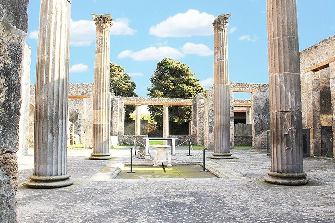 Tour of Pompeii for Kids & Families with Alex and his team - What Do the Reviews Say?
