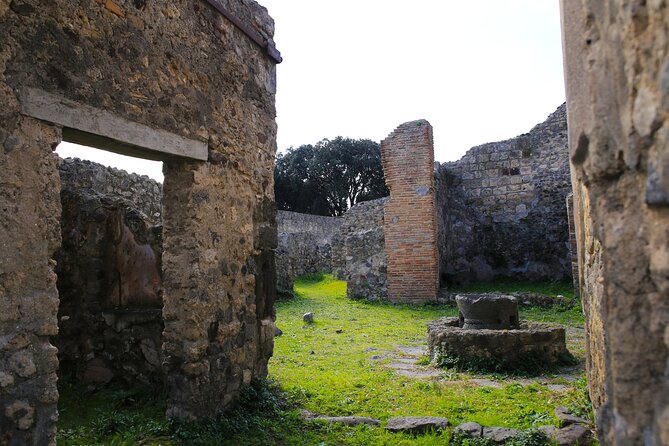Tour of Pompeii with Skip the Line Tickets & Exclusive Guide - Frequently Asked Questions (FAQs)