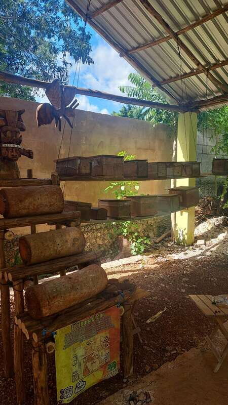 TOUR OF THE 4 BACABES : EXPERIENCE WITH MELIPONA BEES - Authenticity and Cultural Significance