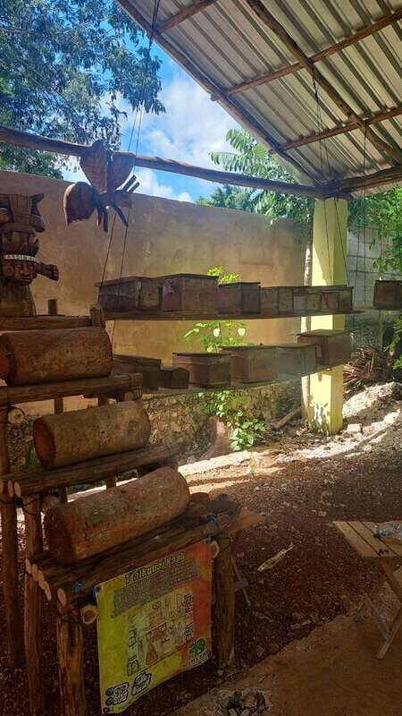 TOUR OF THE 4 BACABES : EXPERIENCE WITH MELIPONA BEES - The Sum Up: Who Is This Tour For?