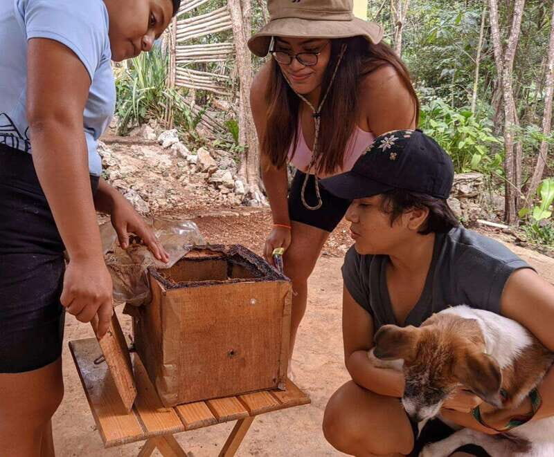 TOUR OF THE 4 BACABES : EXPERIENCE WITH MELIPONA BEES - FAQs